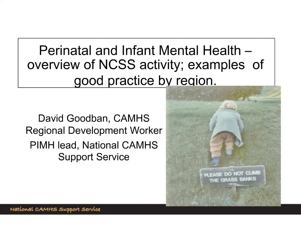 PPT - Perinatal and Infant Mental Health overview of NCSS activity ...