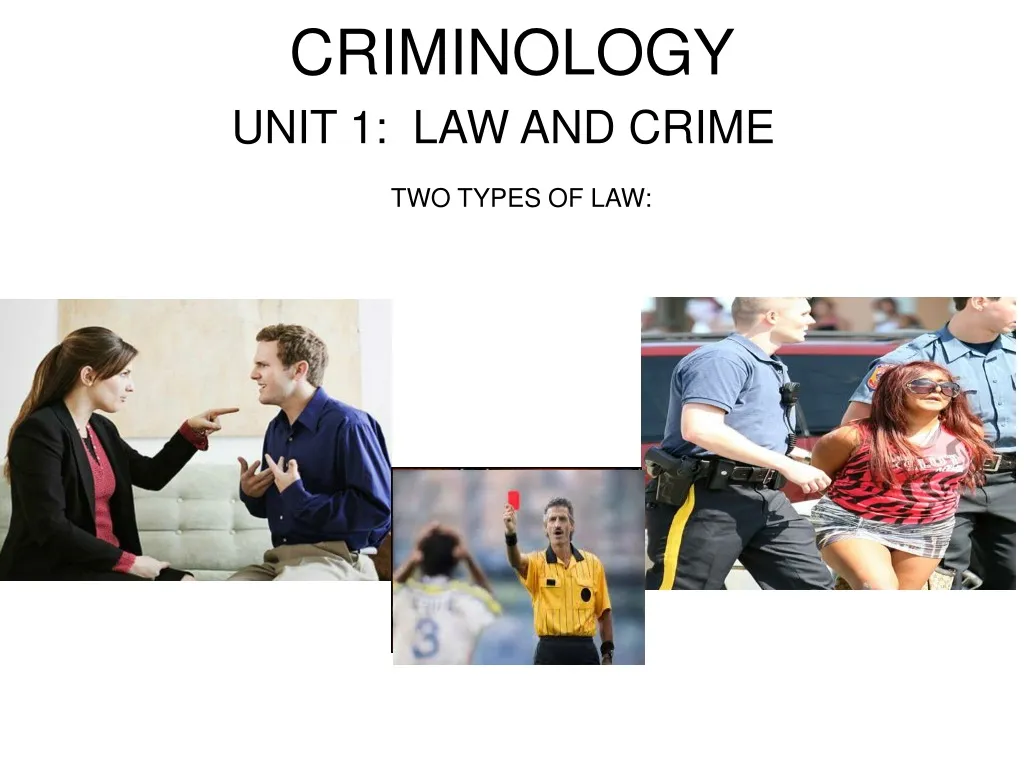 PPT - CRIMINOLOGY PowerPoint Presentation, free download - ID:140047
