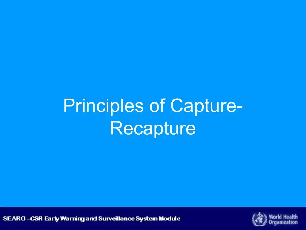 PPT - Principles of Capture-Recapture PowerPoint Presentation, free ...