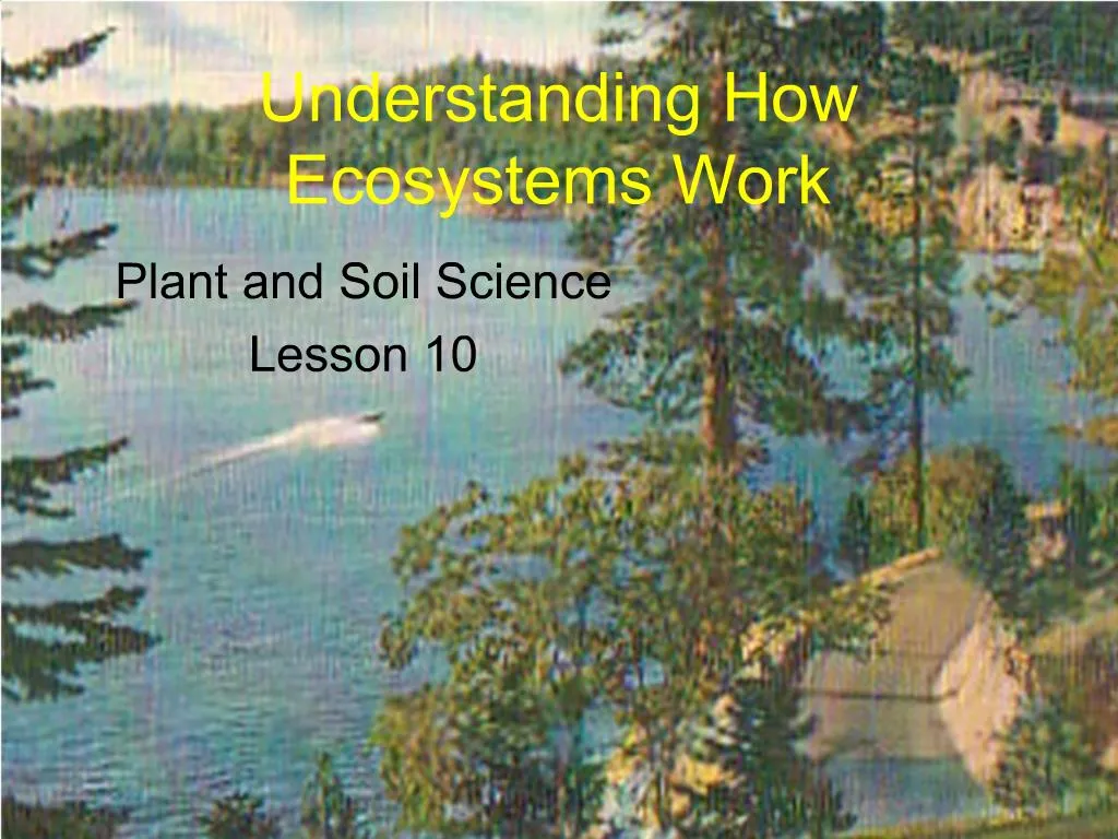 PPT - Understanding How Ecosystems Work PowerPoint Presentation, free ...