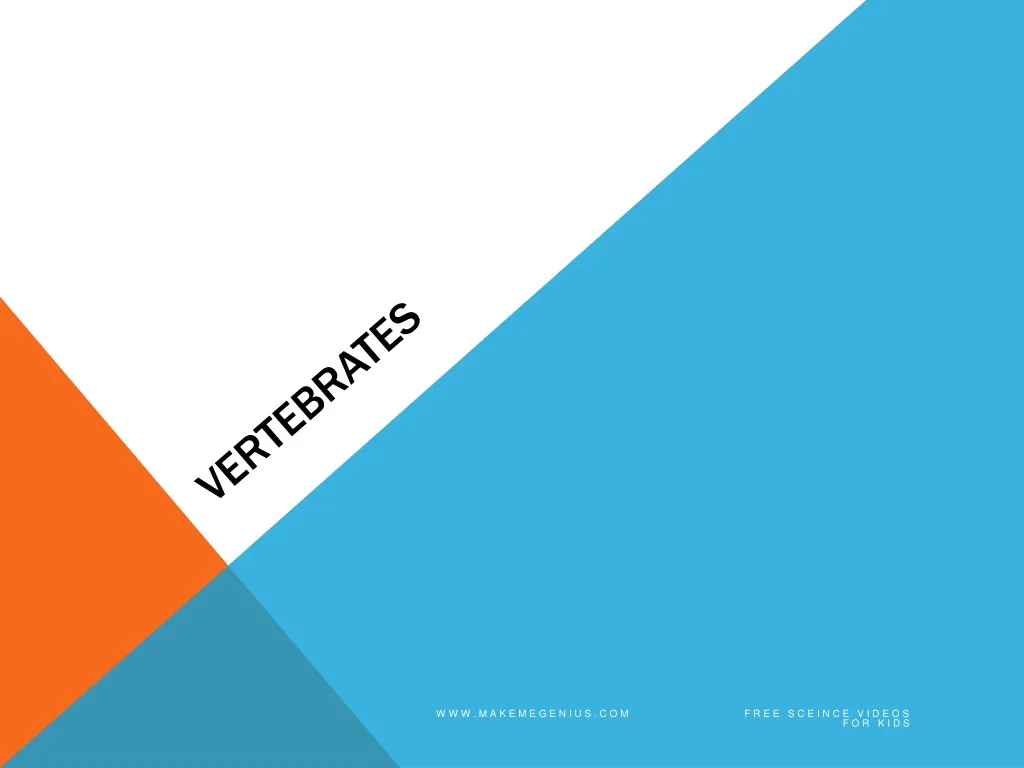 PPT - Vertebrates PowerPoint Presentation, free download - ID:1447995