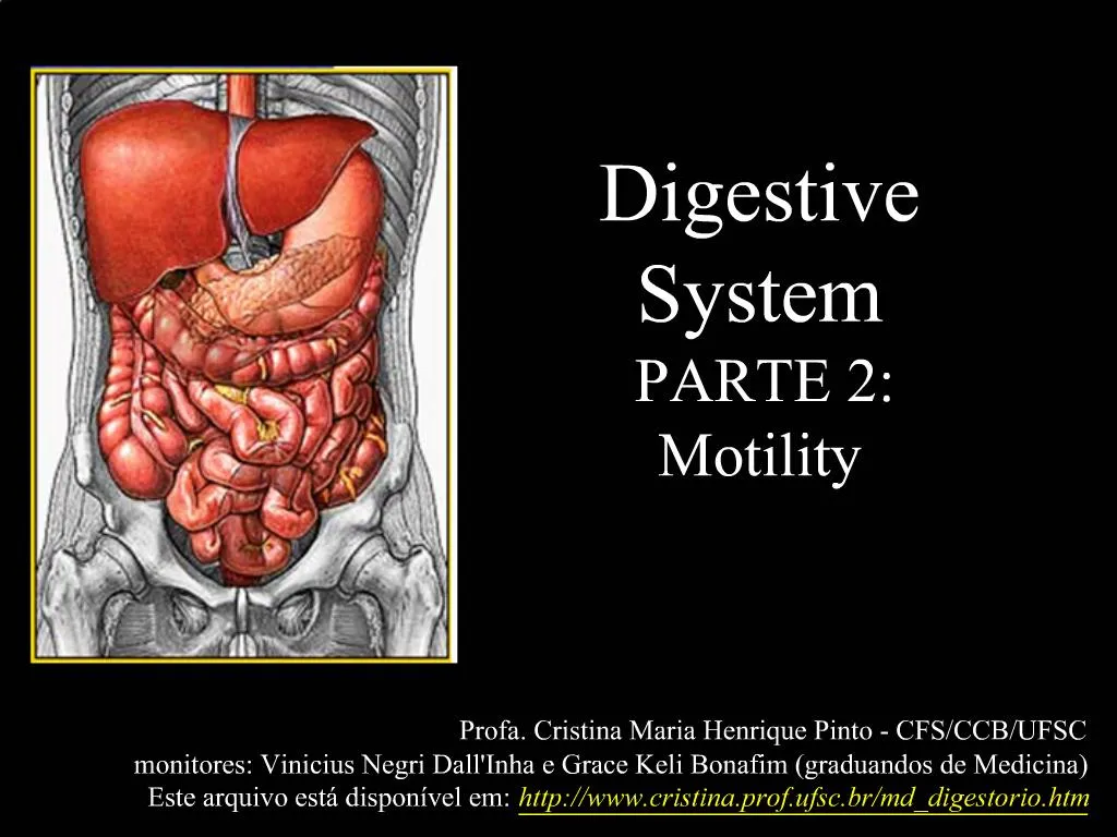 PPT - Digestive System PARTE 2: Motility PowerPoint Presentation, free ...