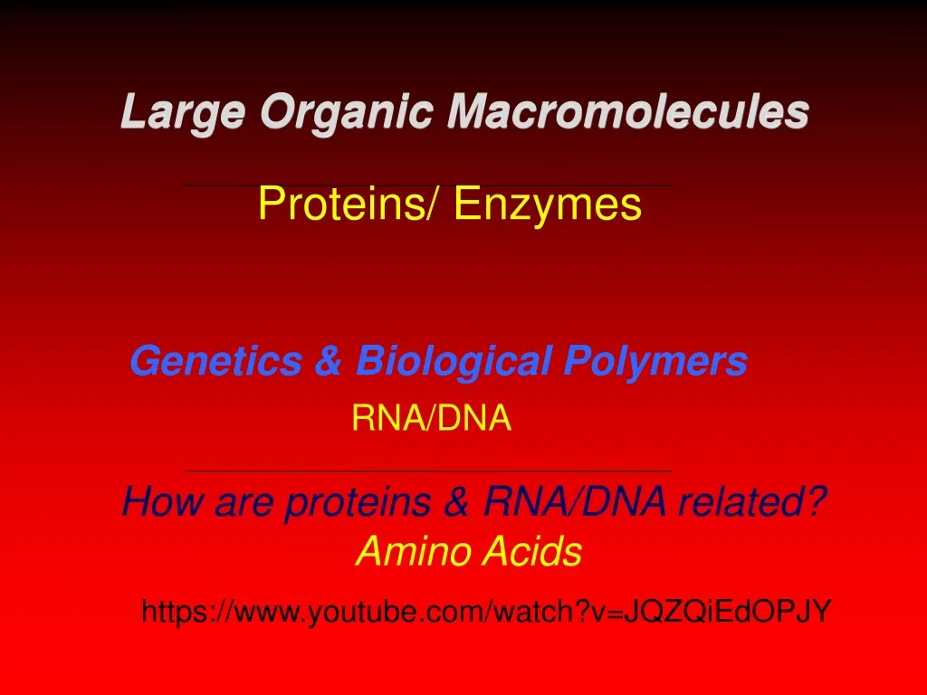 PPT - Genetics & Biological Polymers RNA/DNA PowerPoint Presentation ...