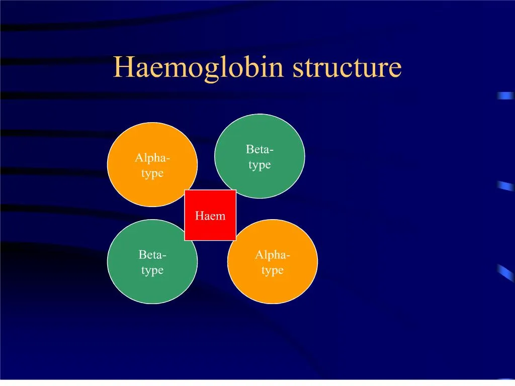 PPT - haemoglobin structure PowerPoint Presentation, free download - ID ...
