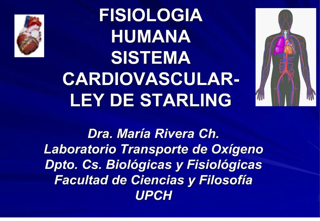 PPT - fisiologia humana sistema cardiovascular-ley de starling ...