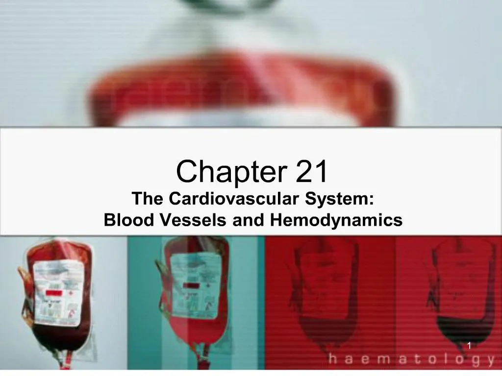 PPT - the cardiovascular system: blood vessels and hemodynamics ...