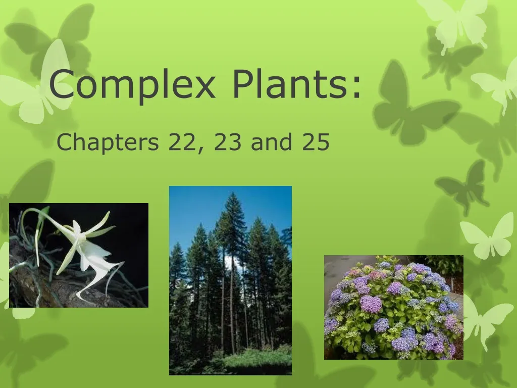 PPT - Complex Plants: PowerPoint Presentation, free download - ID:158371