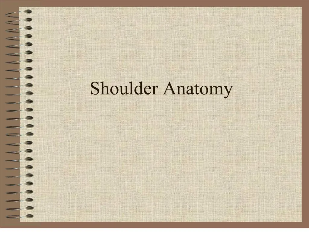 PPT - shoulder anatomy PowerPoint Presentation, free download - ID:158934