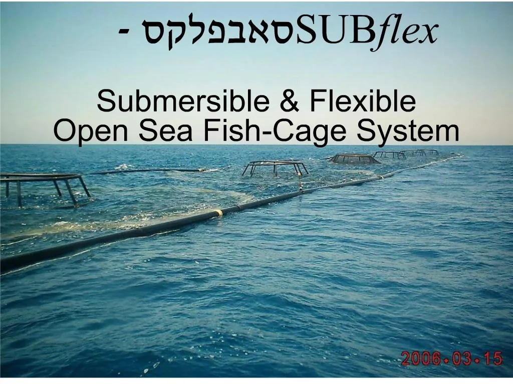 PPT - submersible flexible open sea fish-cage system PowerPoint ...