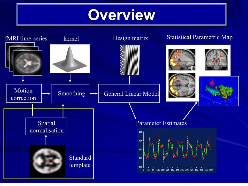 PPT - Overview PowerPoint Presentation, free download - ID:168082