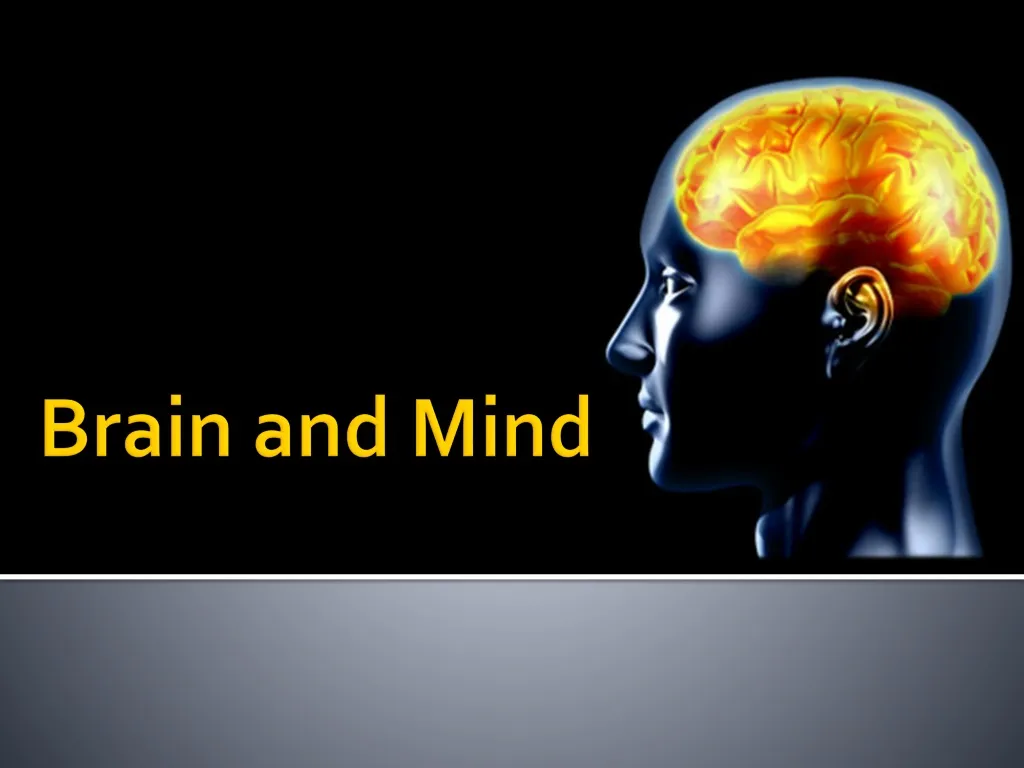 PPT - Brain and Mind PowerPoint Presentation, free download - ID:169885