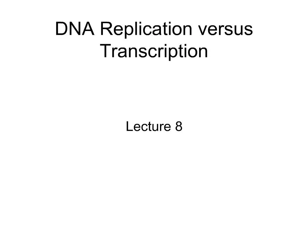 PPT - DNA Replication versus Transcription PowerPoint Presentation ...