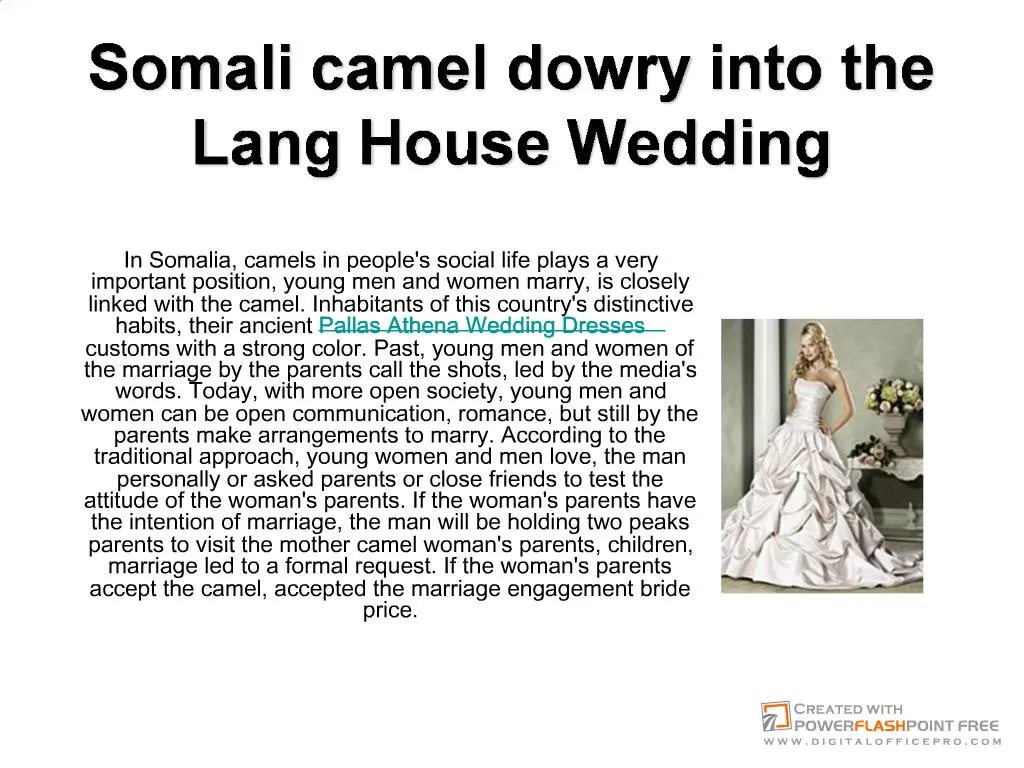 PPT - Somali camel dowry into the Lang House Wedding PowerPoint ...