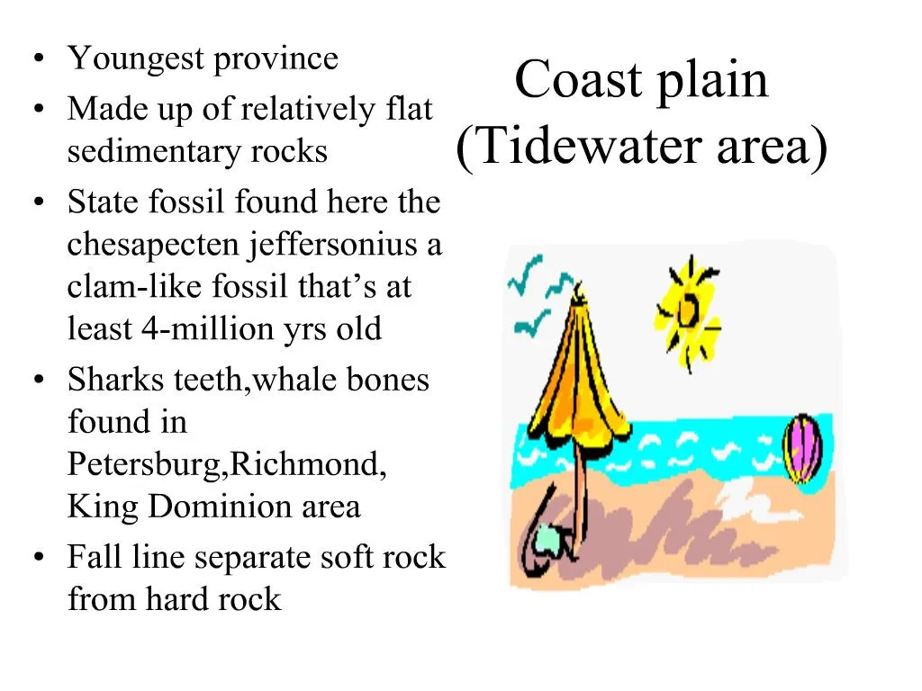 PPT - Coast plain Tidewater area PowerPoint Presentation, free download ...