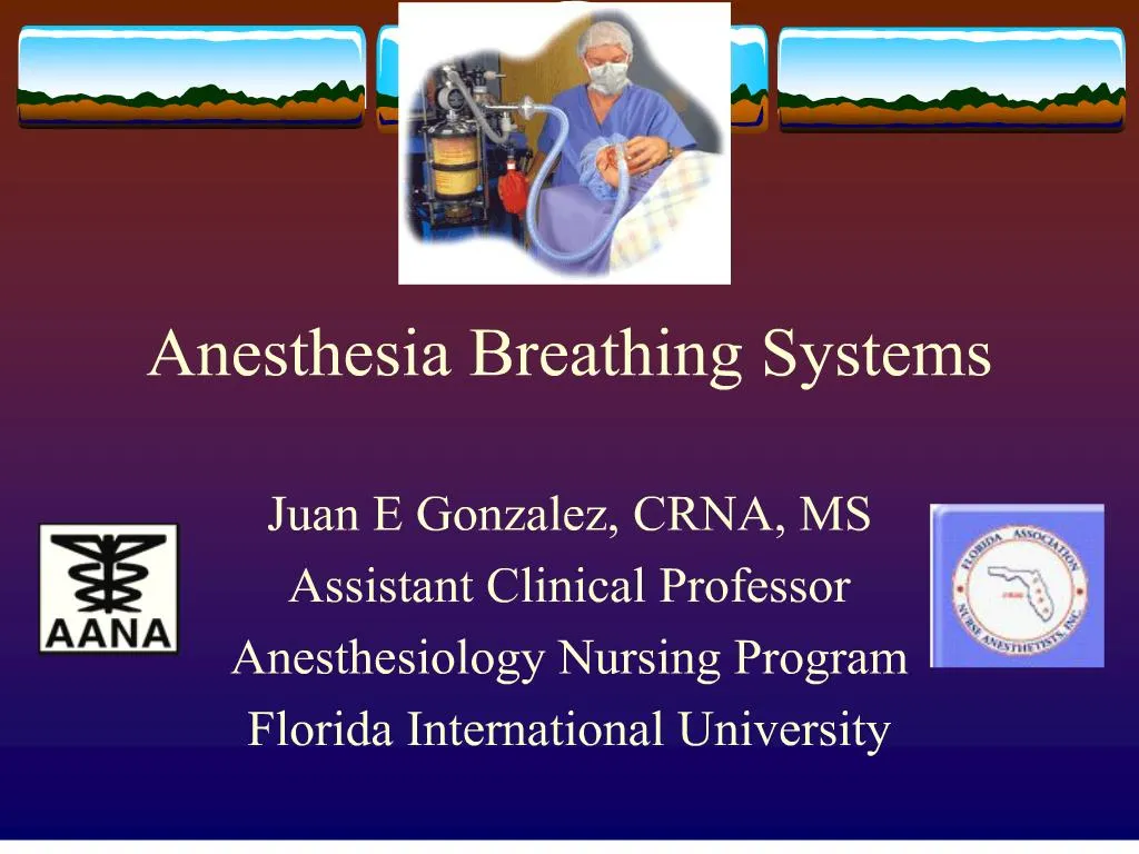 PPT - Anesthesia Breathing Systems PowerPoint Presentation, free ...