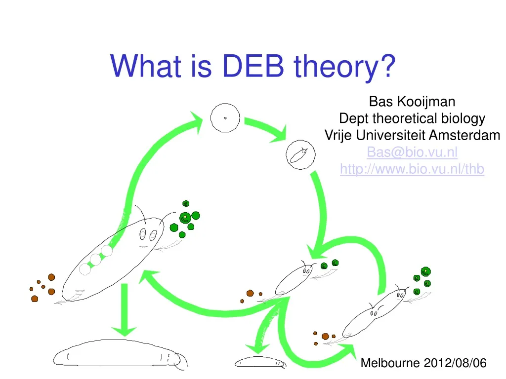 PPT - What is DEB theory? PowerPoint Presentation, free download - ID ...