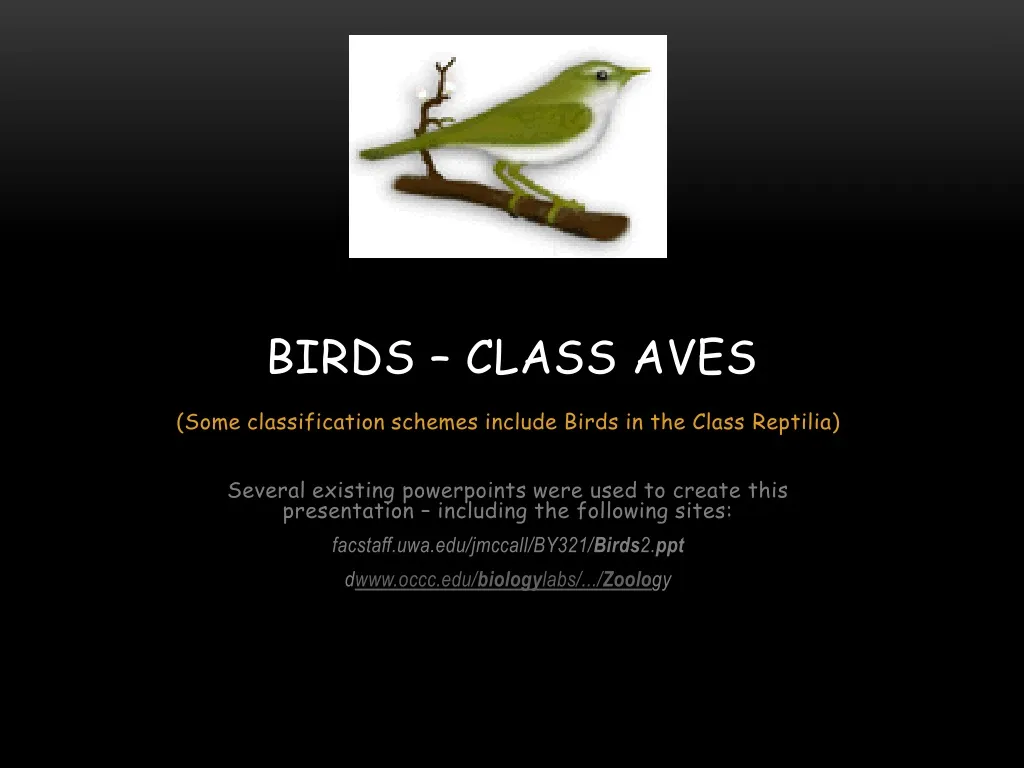 PPT - Birds – Class AVES PowerPoint Presentation, free download - ID:205788