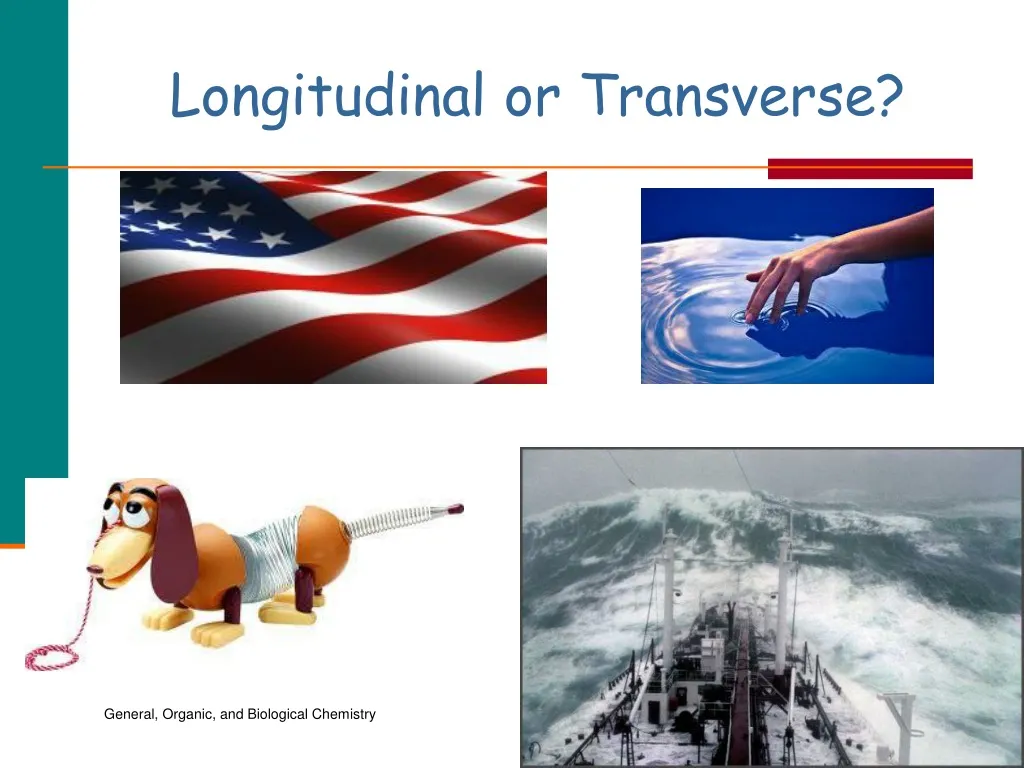 PPT - Longitudinal or Transverse? PowerPoint Presentation, free ...
