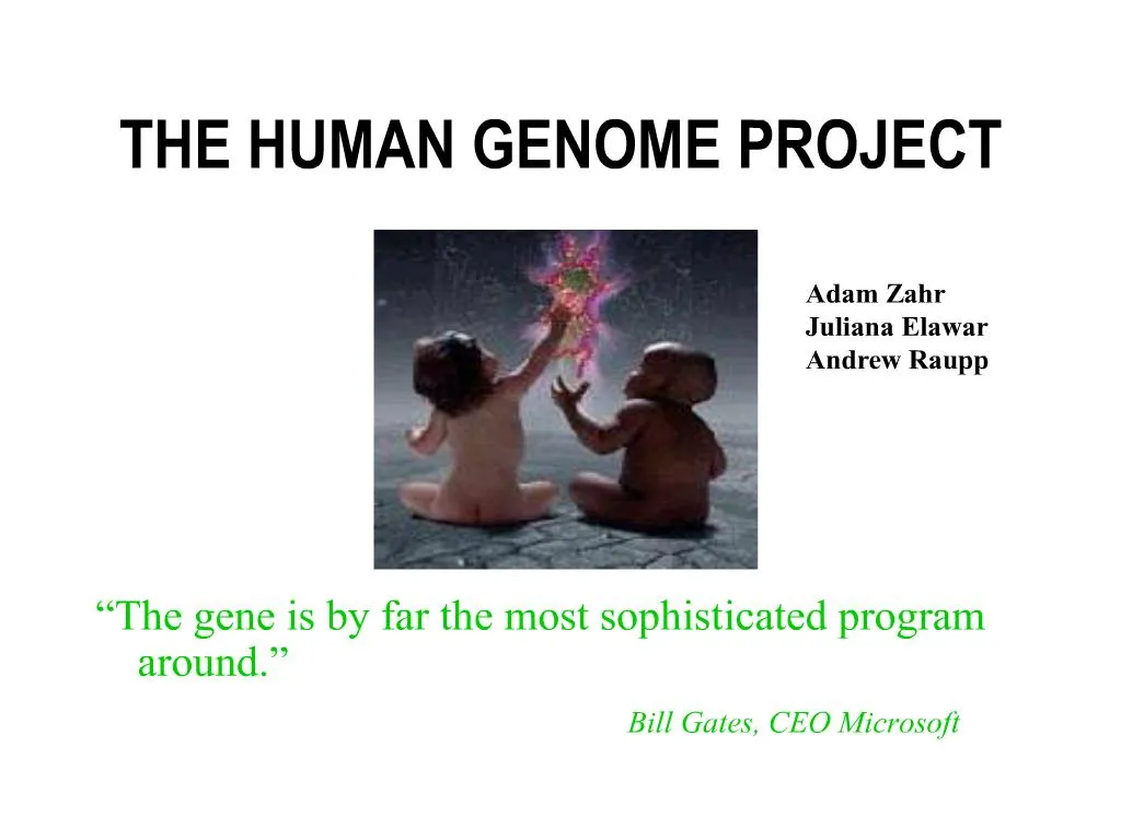 PPT - THE HUMAN GENOME PROJECT PowerPoint Presentation, free download ...