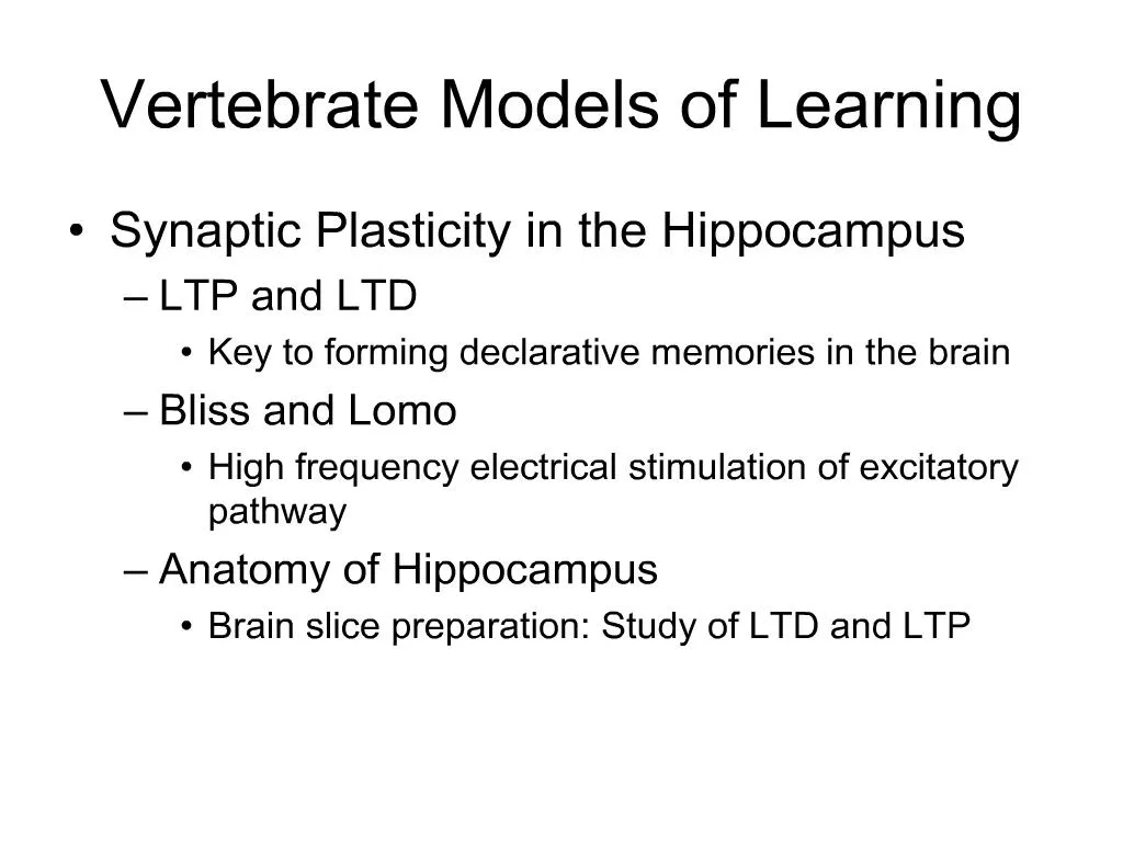 PPT - Vertebrate Models of Learning PowerPoint Presentation, free ...