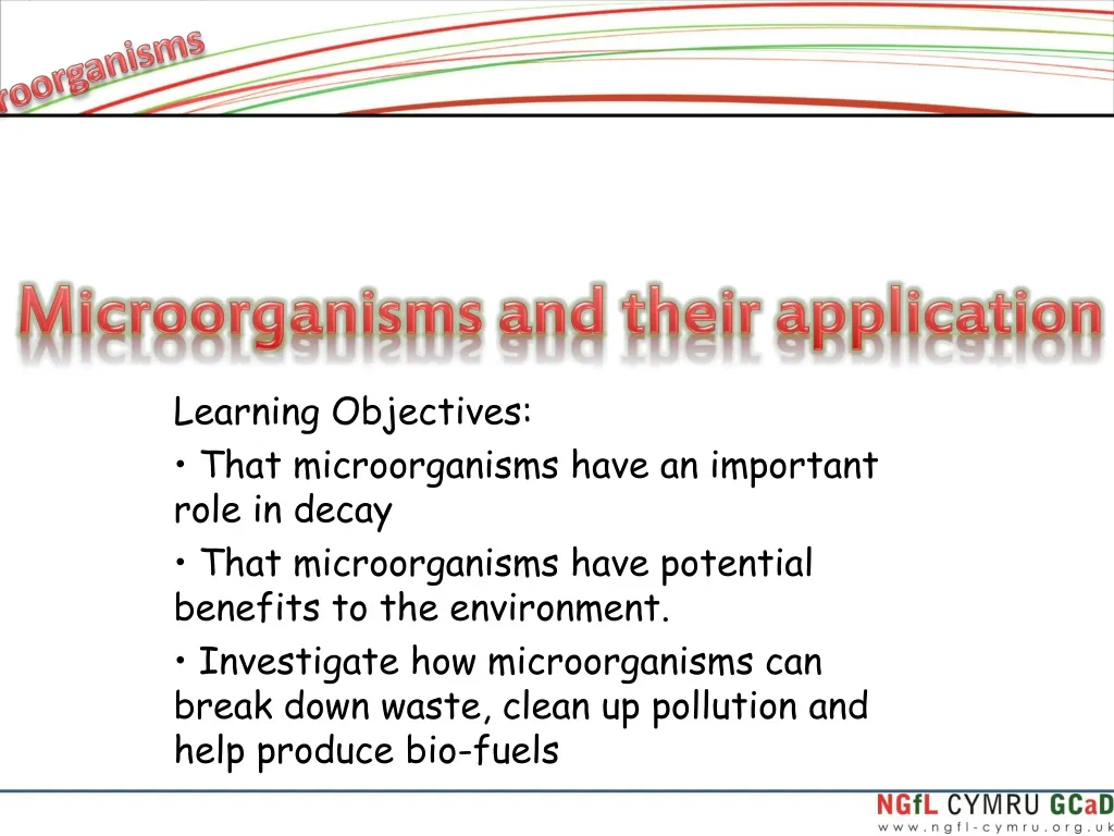 PPT - Learning Objectives: That microorganisms have an important role ...