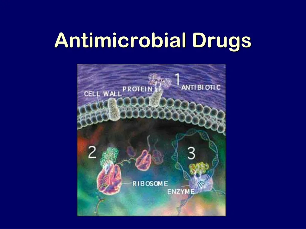 PPT - Antimicrobial Drugs PowerPoint Presentation, free download - ID ...