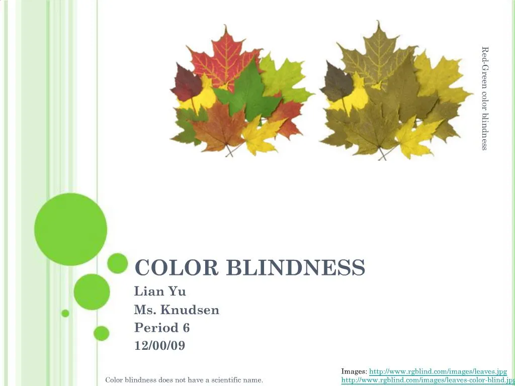 PPT - COLOR BLINDNESS PowerPoint Presentation, free download - ID:223095