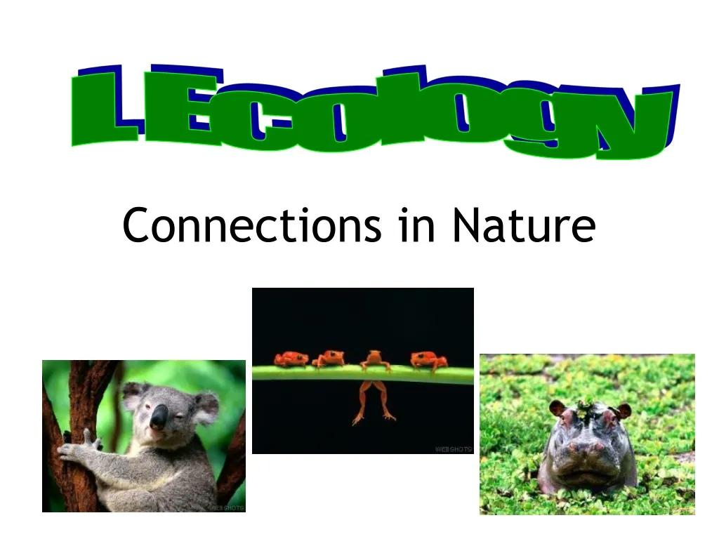 PPT - Connections in Nature PowerPoint Presentation, free download - ID ...