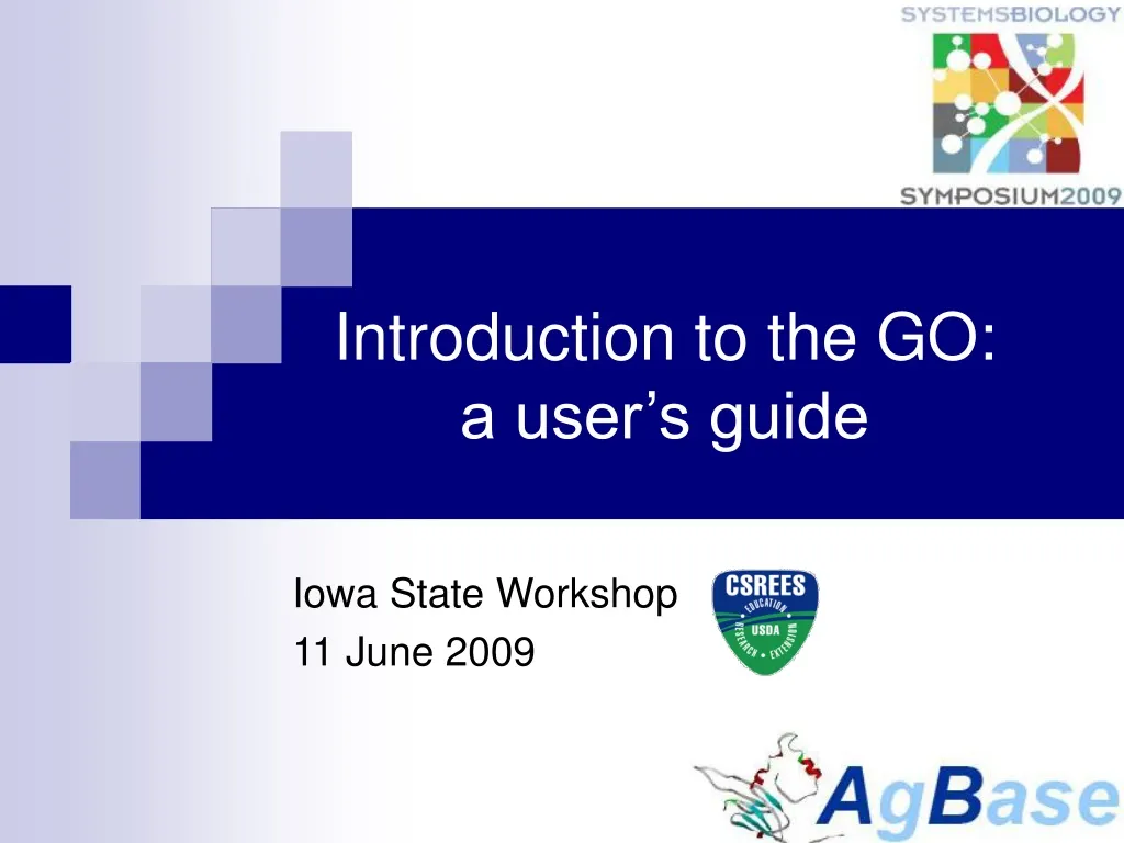 PPT - Introduction to the GO: a user’s guide PowerPoint Presentation ...