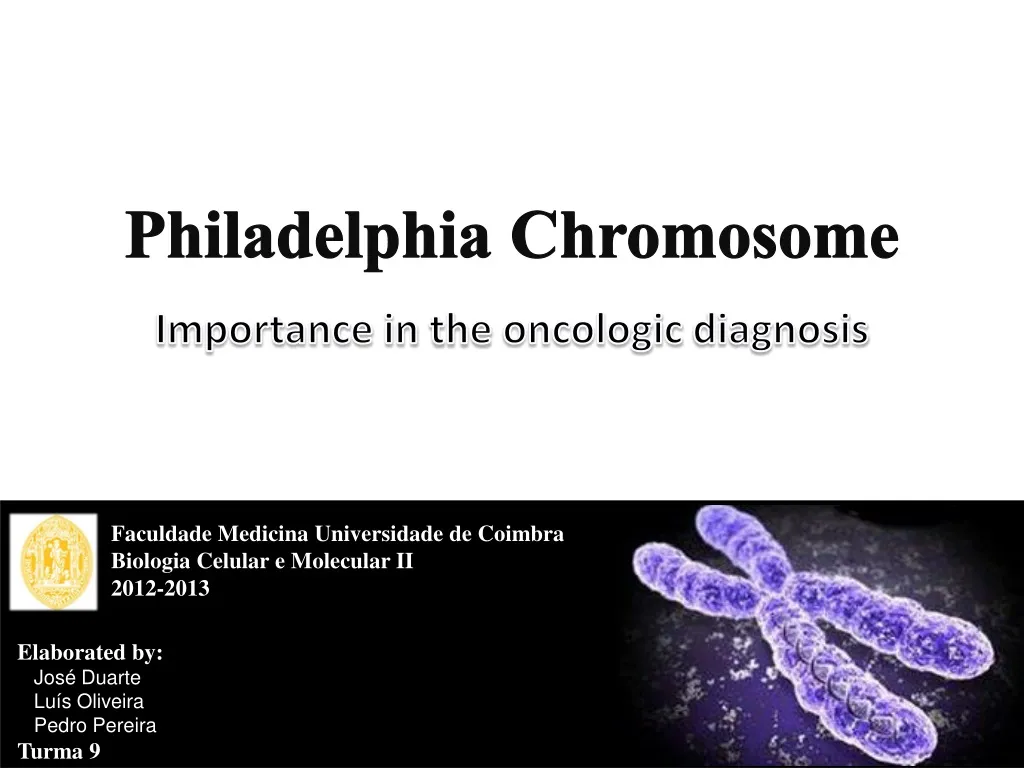 PPT - Philadelphia Chromosome PowerPoint Presentation, free download ...
