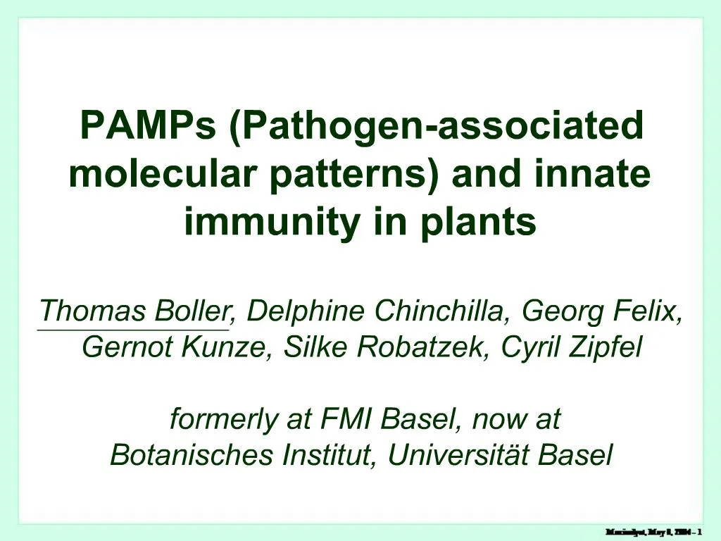 PPT - FLS2, a receptor-like kinase, recognizes flg22 PowerPoint ...