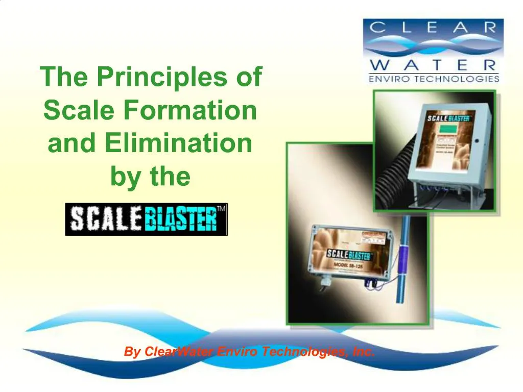 PPT - The Principles of Scale Formation and Elimination by the ...
