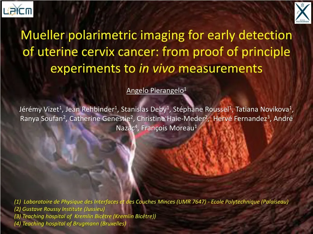 PPT - Epithelial cancers PowerPoint Presentation, free download - ID:243993