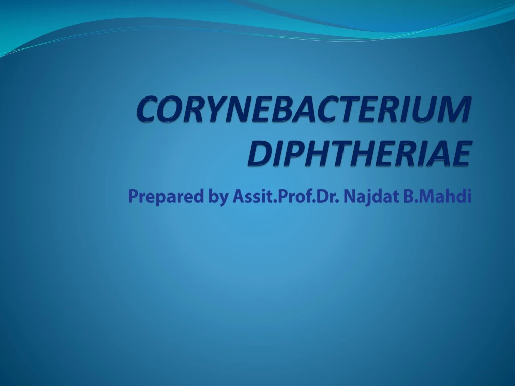 PPT - CORYNEBACTERIUM DIPHTHERIAE PowerPoint Presentation, free ...