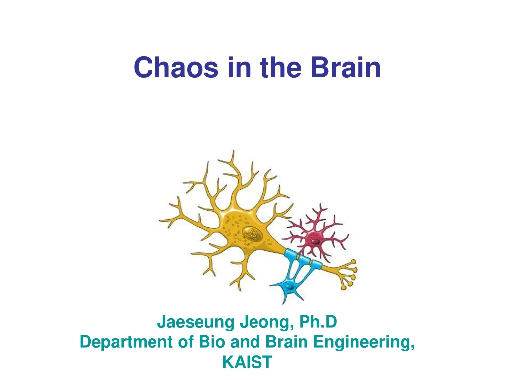 PPT - Chaos in the Brain PowerPoint Presentation, free download - ID:261330