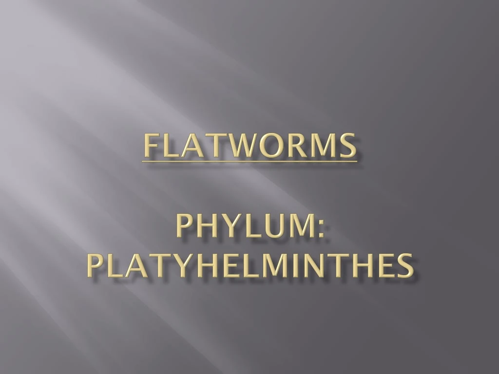 PPT - Flatworms Phylum: PLATYHELMINTHES PowerPoint Presentation, free ...