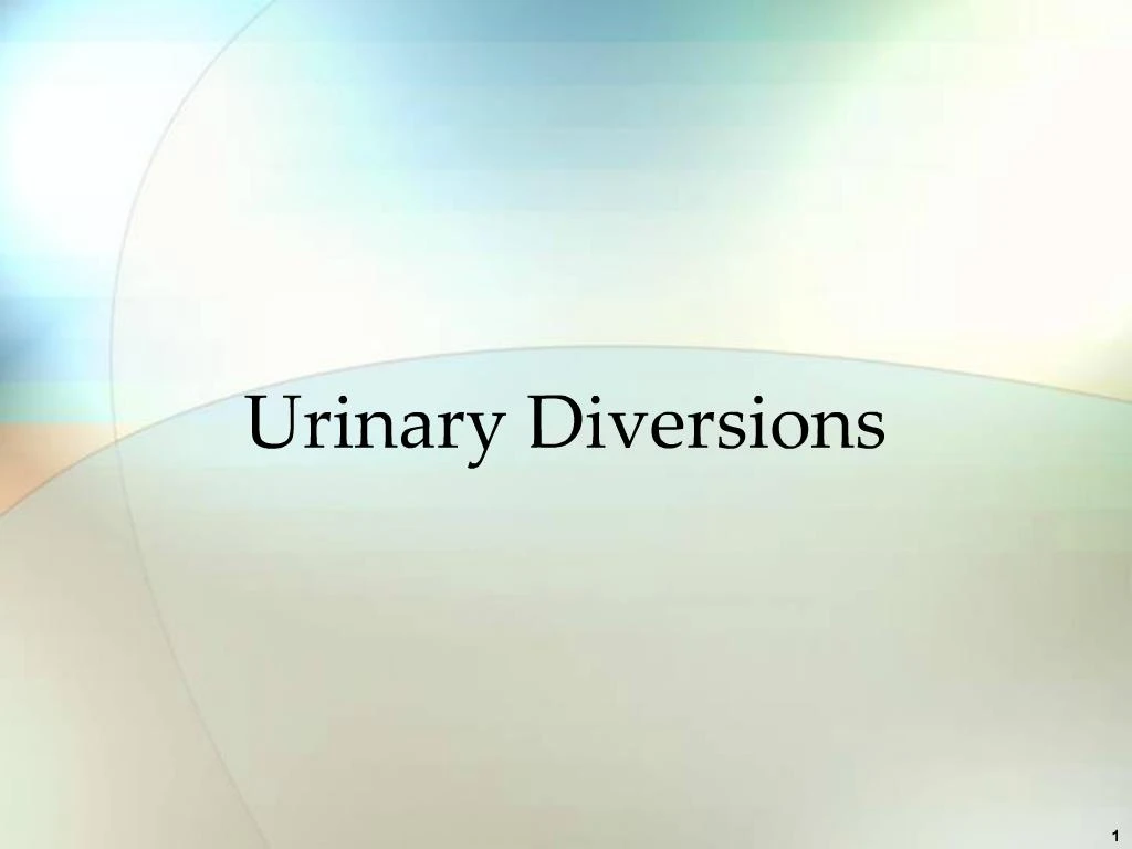 PPT - Urinary Diversions PowerPoint Presentation, free download - ID:271764