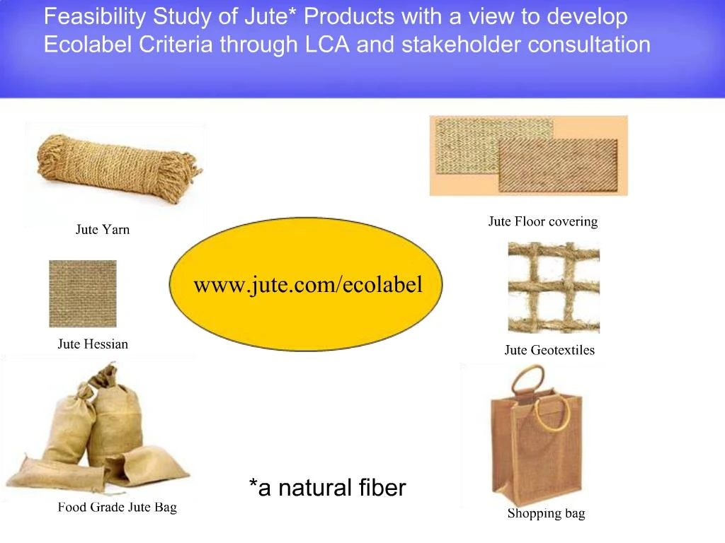 PPT - Feasibility Study of Jute Products with a view to develop ...