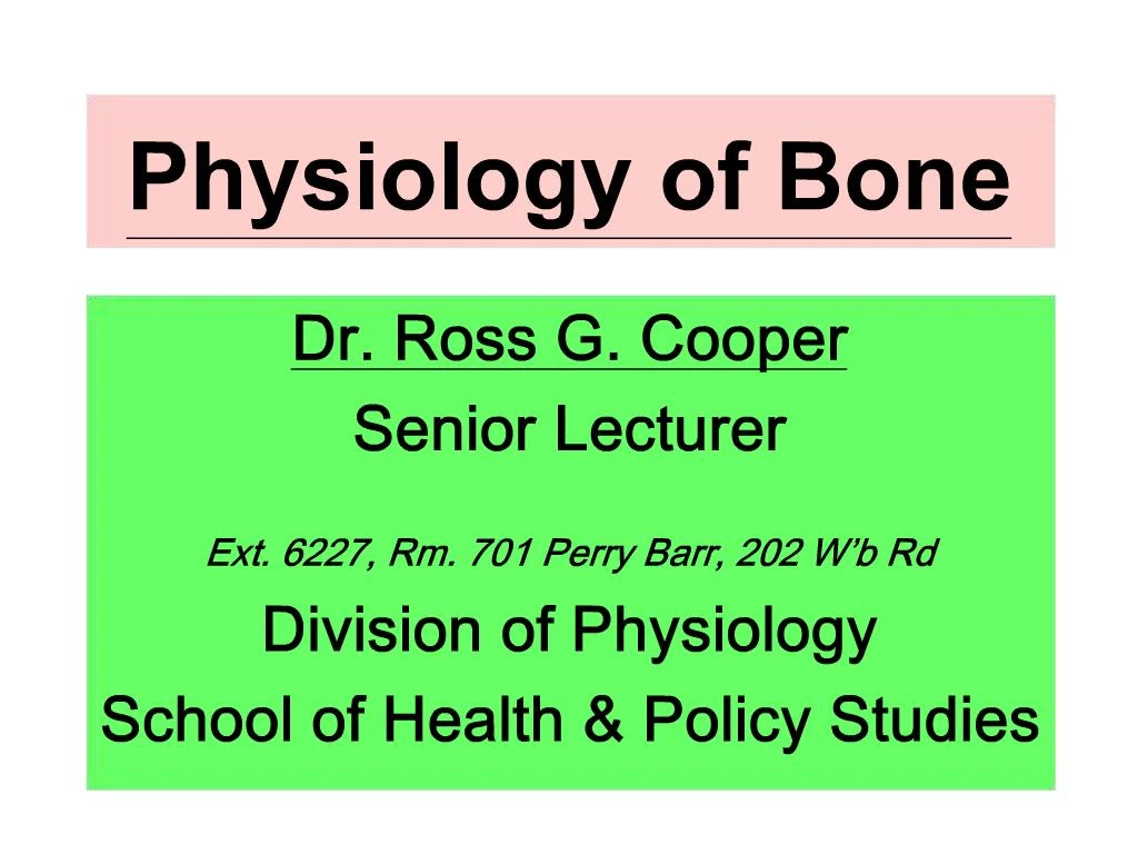 PPT - Physiology of Bone PowerPoint Presentation, free download - ID:276195