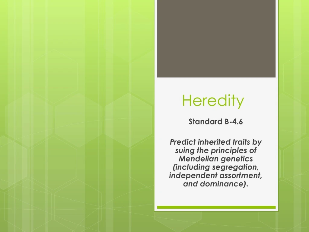 PPT - Heredity PowerPoint Presentation, free download - ID:277569
