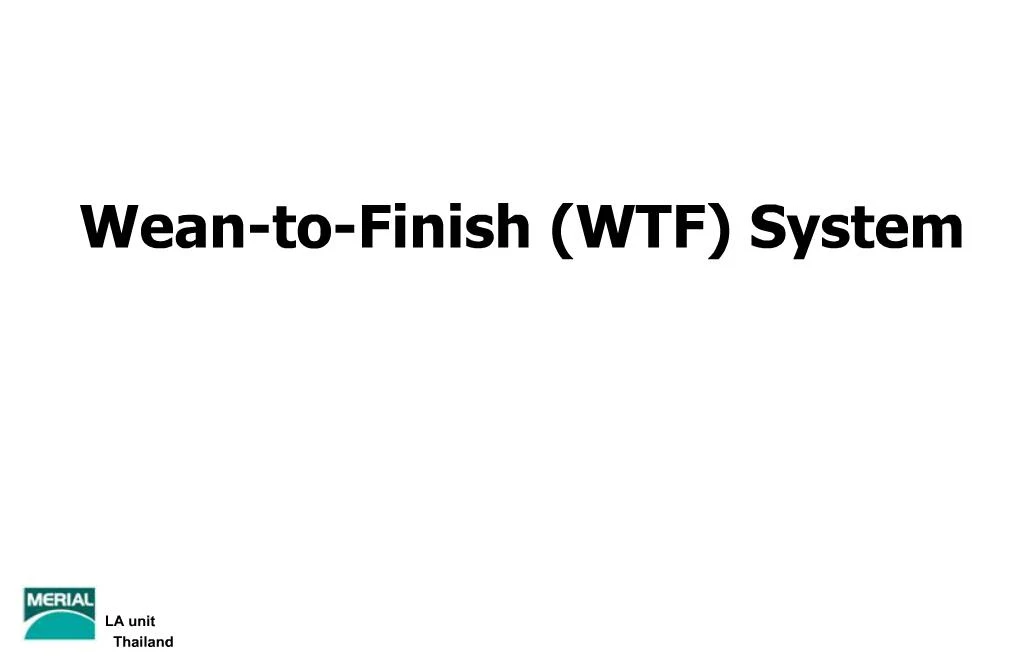 PPT - Wean-to-Finish WTF System PowerPoint Presentation, free download ...