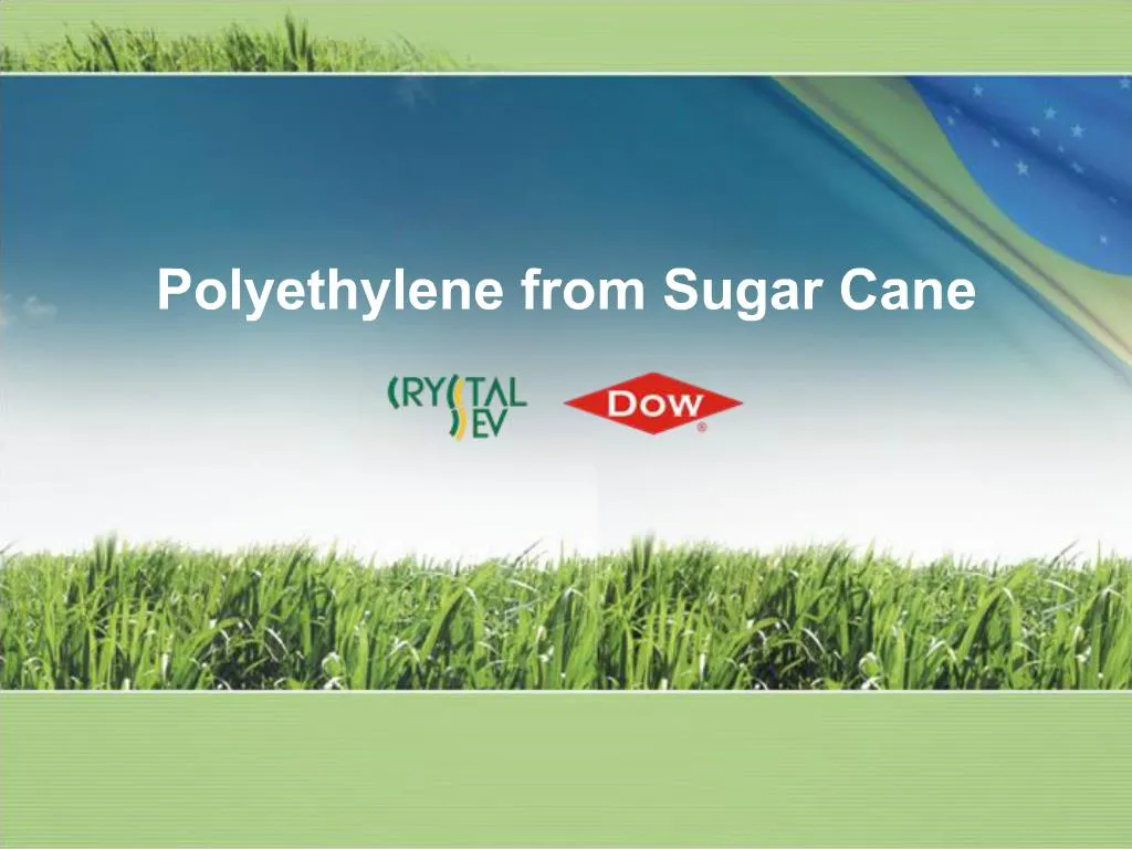 PPT - Polyethylene from Sugar Cane PowerPoint Presentation, free ...