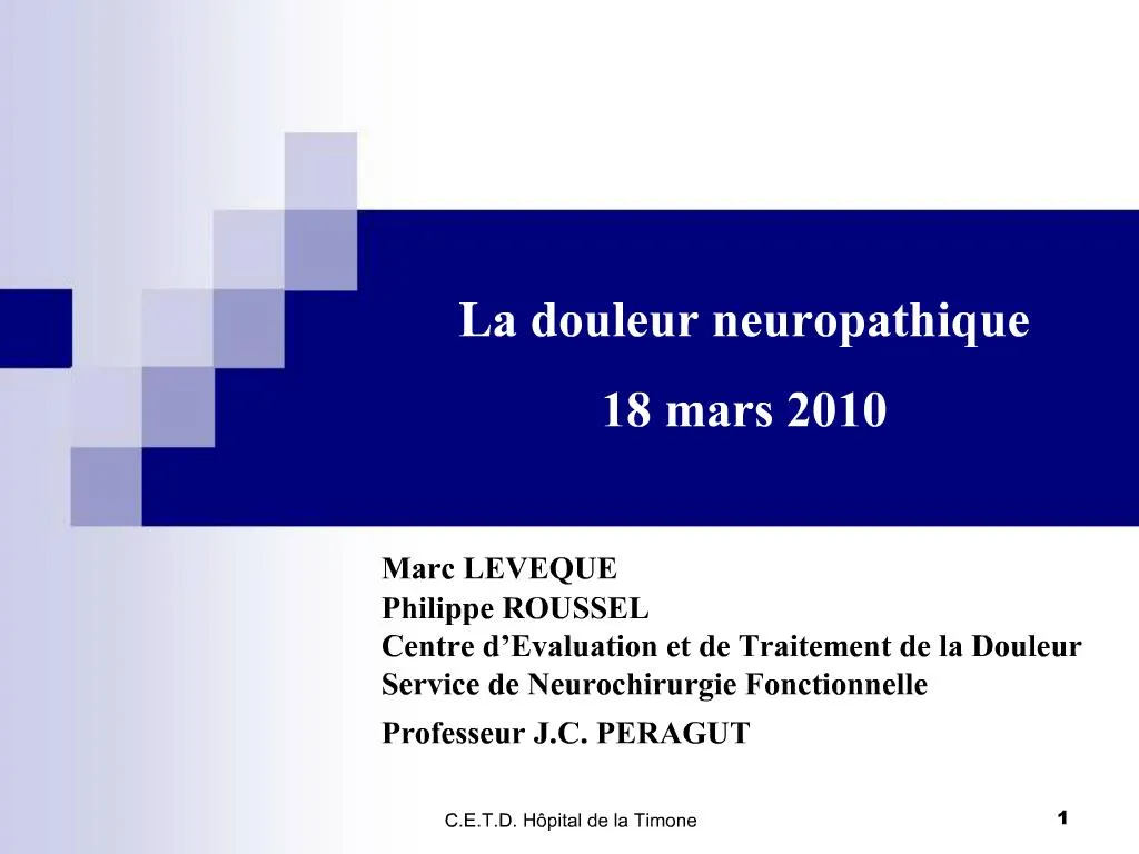 PPT - La douleur neuropathique 18 mars 2010 PowerPoint Presentation ...