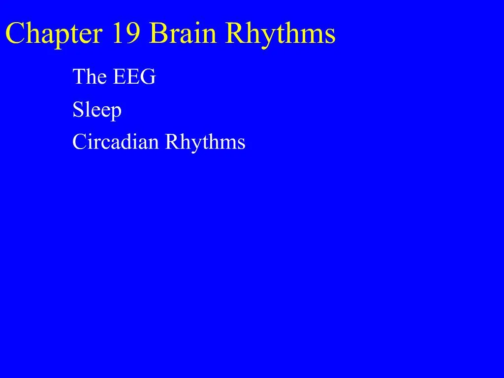 PPT - Chapter 19 Brain Rhythms PowerPoint Presentation, free download ...