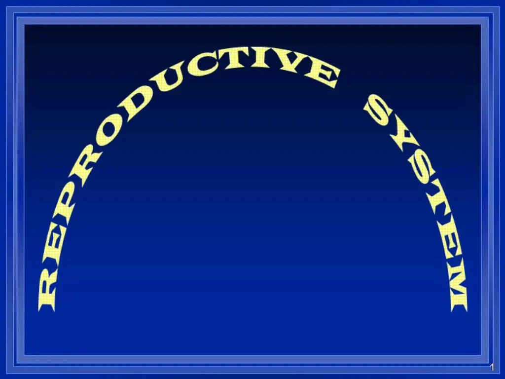 Ppt Reproductive System Powerpoint Presentation Free Download Id 5959