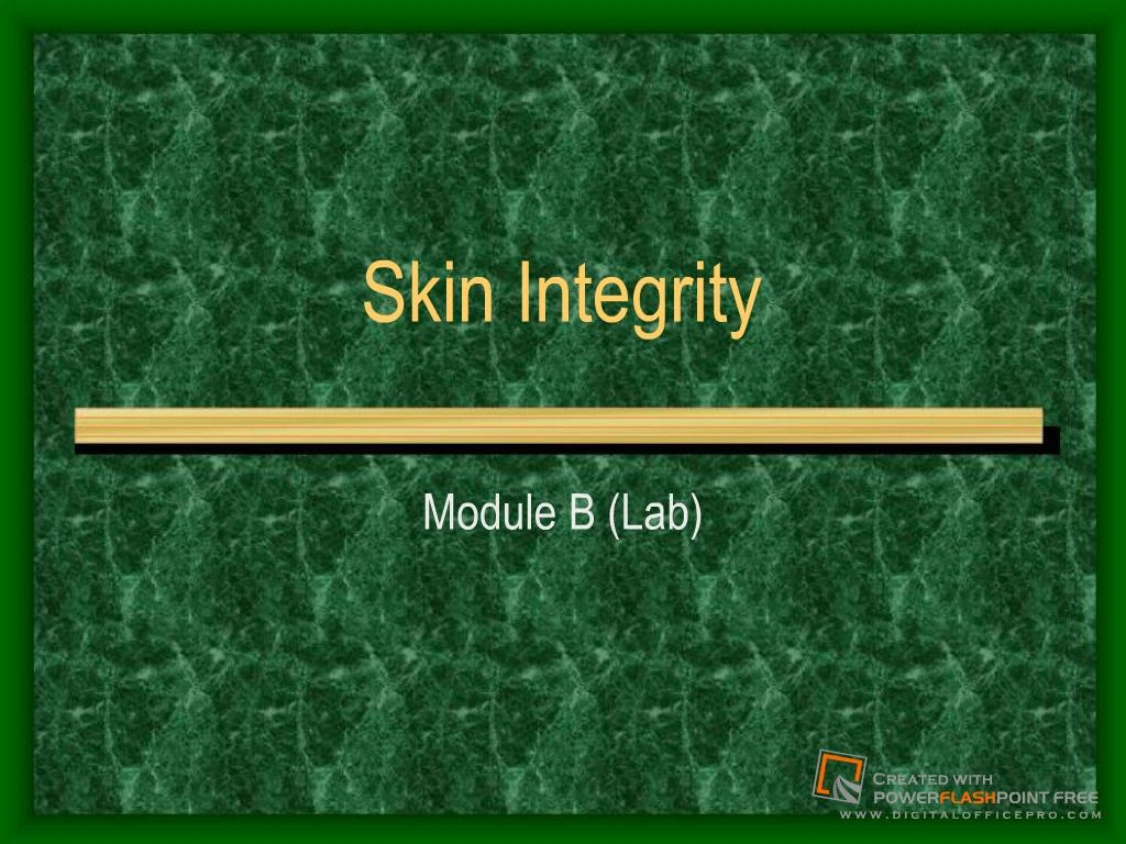 PPT - Skin Integrity PowerPoint Presentation, free download - ID:3051