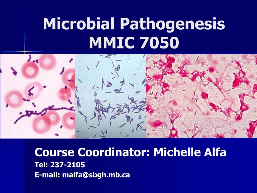 PPT - Microbial Pathogenesis MMIC 7050 PowerPoint Presentation, free ...