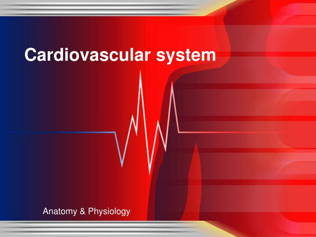 PPT - Cardiovascular system PowerPoint Presentation, free download - ID ...