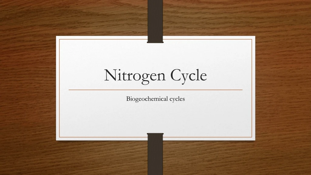 PPT - Nitrogen Cycle PowerPoint Presentation, free download - ID:317778