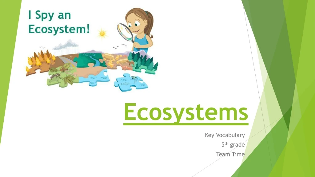 PPT - Ecosystems PowerPoint Presentation, free download - ID:319780